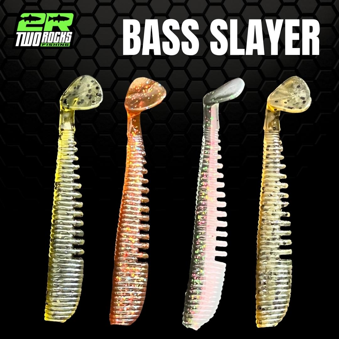 Soft Bait 101: Picking the Perfect Size for Success | Beginner Fishing ...